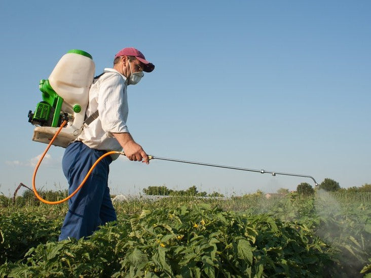 Mais Verde por Menos: A Grass4You Baixa os Preços da Relva em 2026 ...
