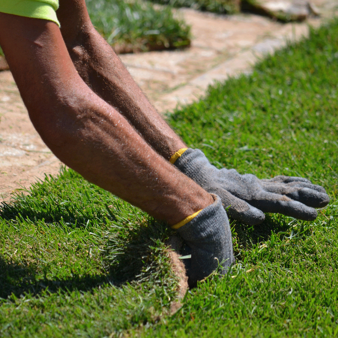 Qual o momento ideal para instalar tapetes de relva natural? – GRASS4YOU