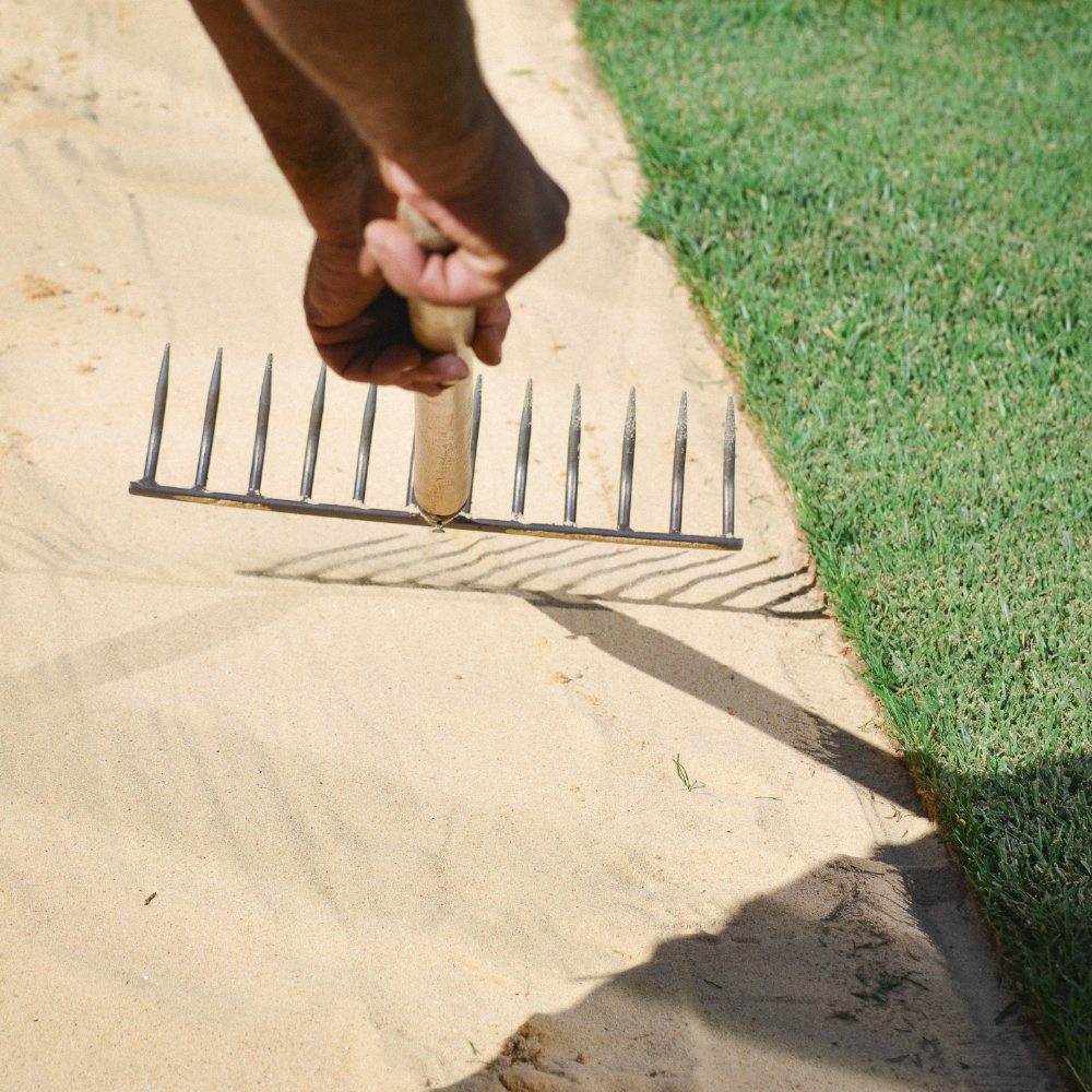 Preparação do Terreno para Colocação de Relva Natural – GRASS4YOU