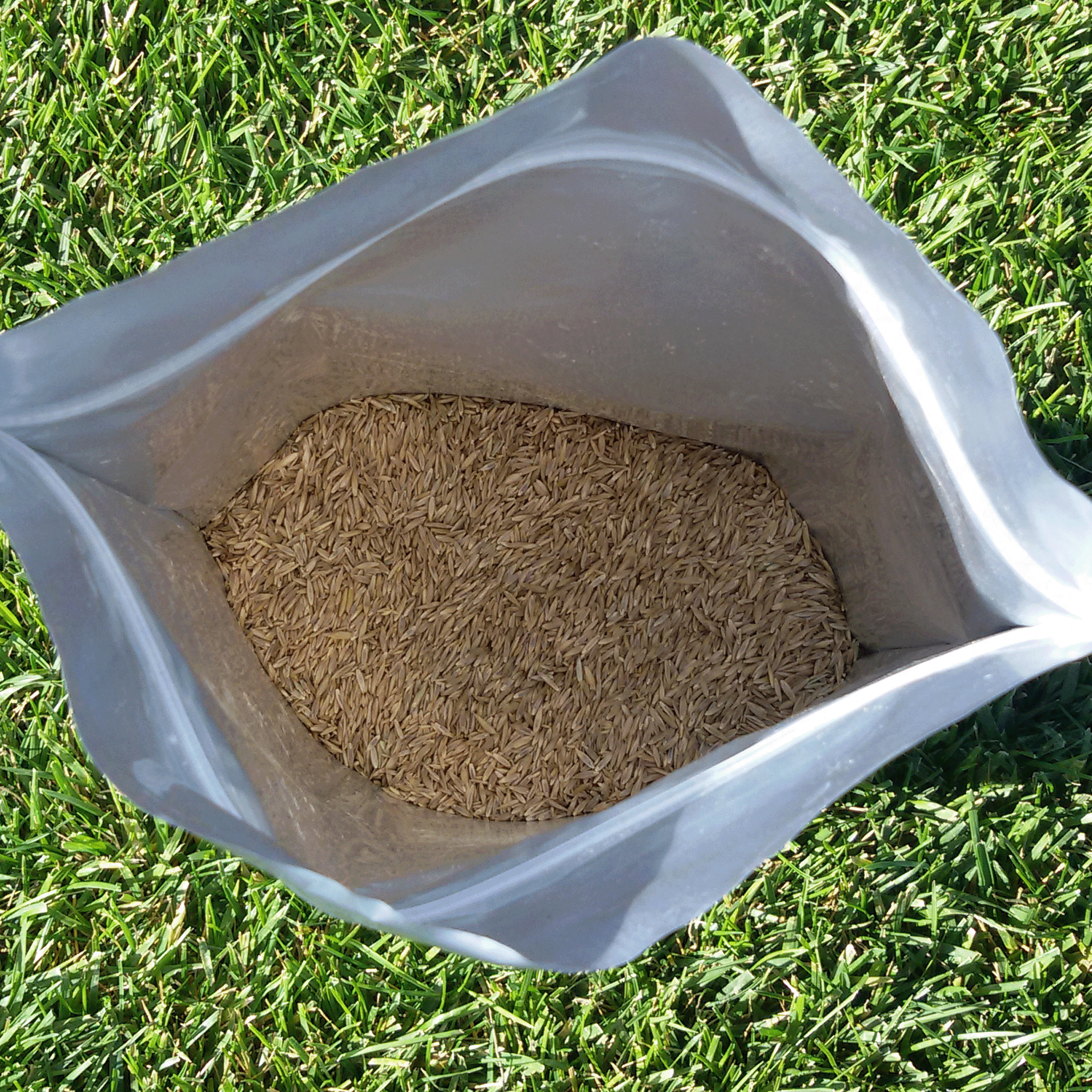 Sementes relva Natural | semear relva | Grass4you – GRASS4YOU